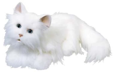 FurReal Friends Cat Official Rules & Instructions - Hasbro